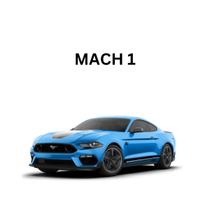 Ford Mustang Mach 1 – AUTOBUNCH®