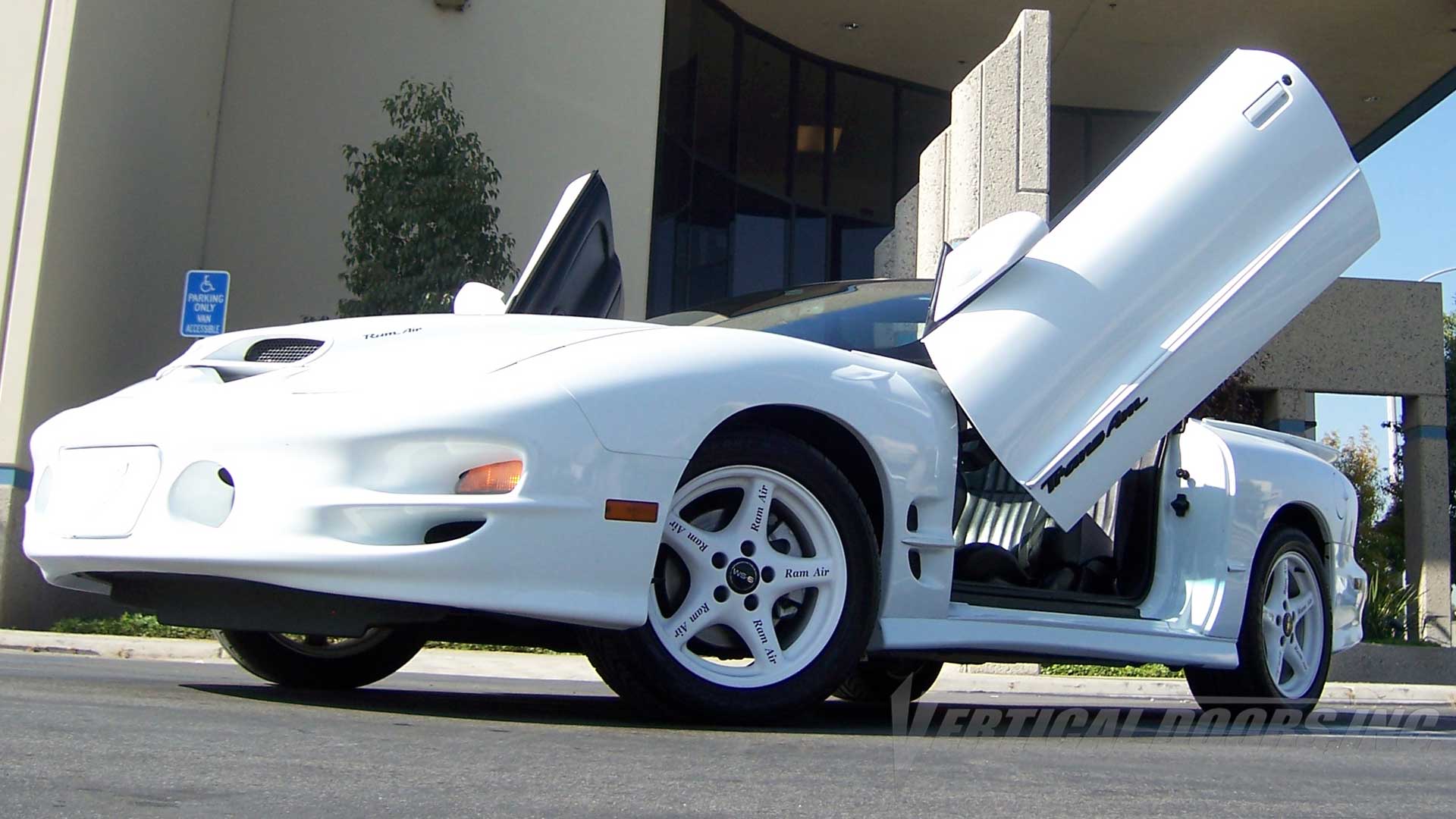 Customize Your Pontiac Firebird and Trans Am 1998-2002 with Vertical ...